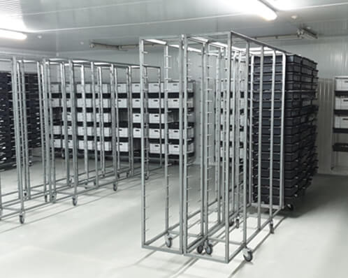 Granjas de insectos, todo lo que necesitas saber para empezar a criar ...