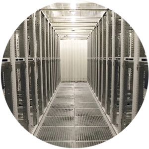 Granjas de Insectos. Todo lo que tienes que saber - Proteinsecta