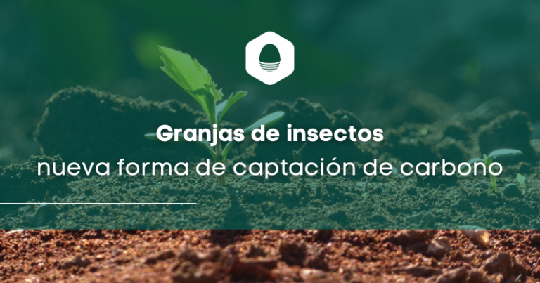Granjas de insectos: nueva forma de captación de carbono. - Proteinsecta
